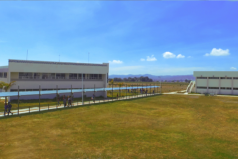 UPAM :: Gallos Negros :: UPAM